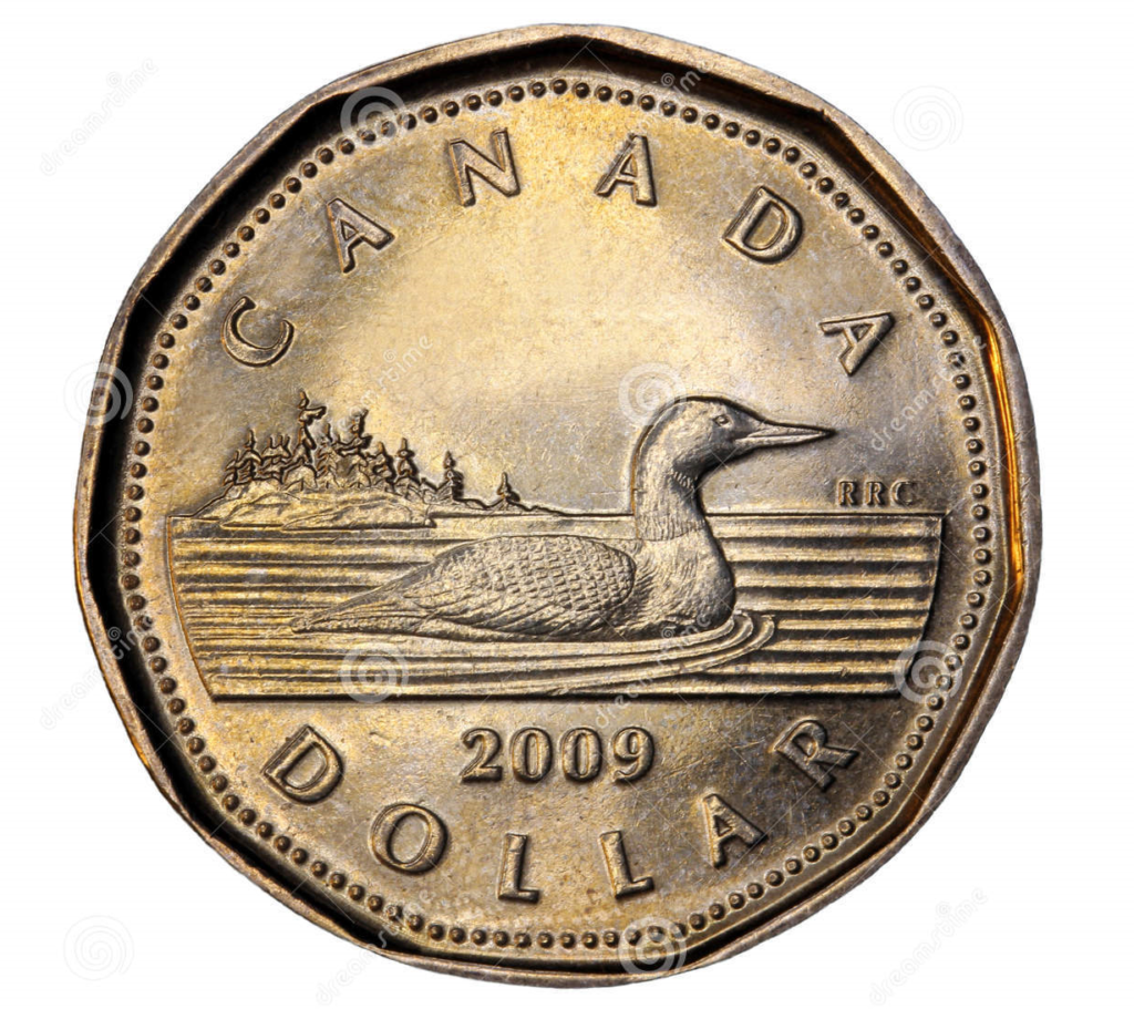 Quer saber curiosidades sobre o dólar canadense?