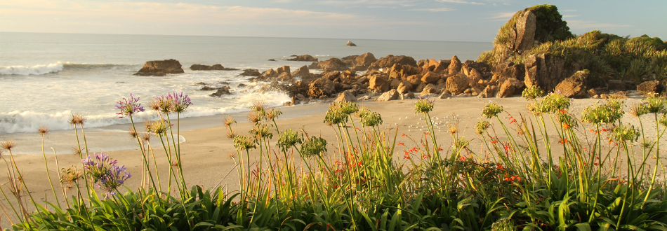 Melhores destinos para aproveitar a primavera no hemisfério sul